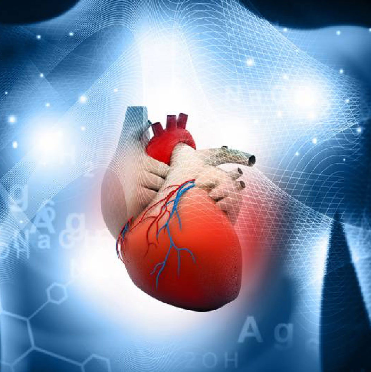 Investigation of In-Vehicle Cardiac Monitoring and Severe Event ...